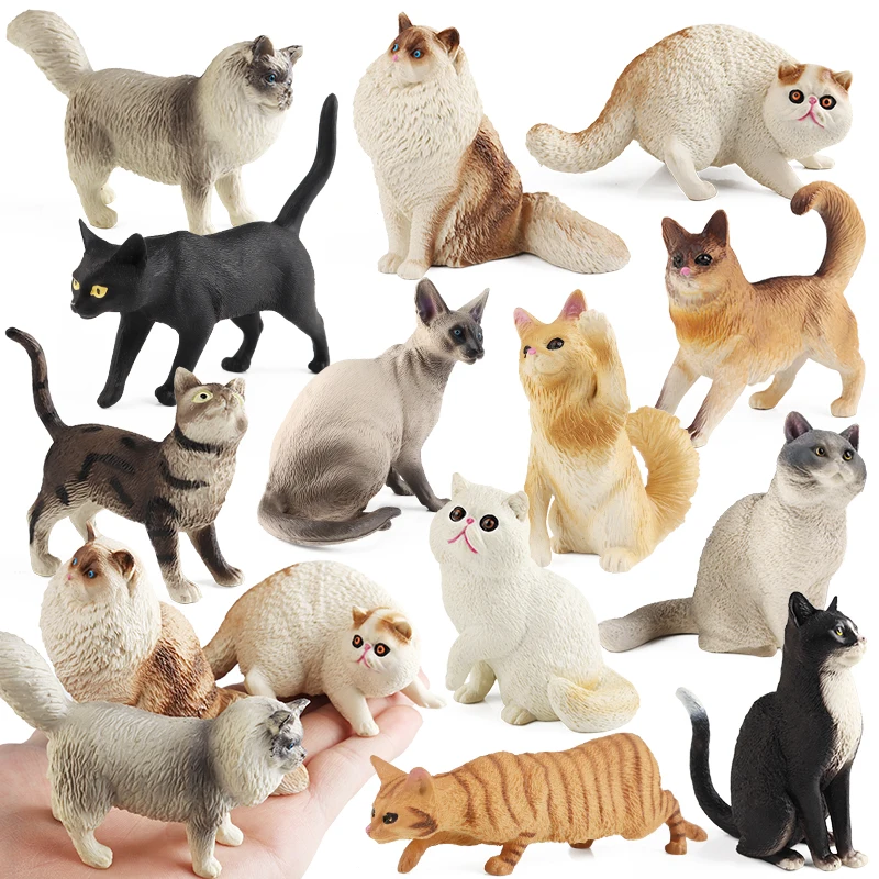 Oenux-Cat-Model-Siamese-Devon-Rex-Sphynx-Ragdoll-Persian-Action-Figure ...