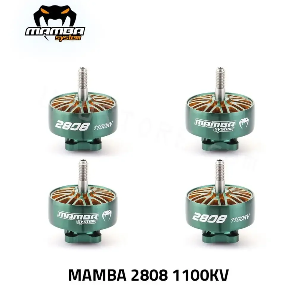 DIATONE-MAMBA-TOKA-2808-1100KV-Racing-Brushless-Motor-for-Roma-F7-RC ...