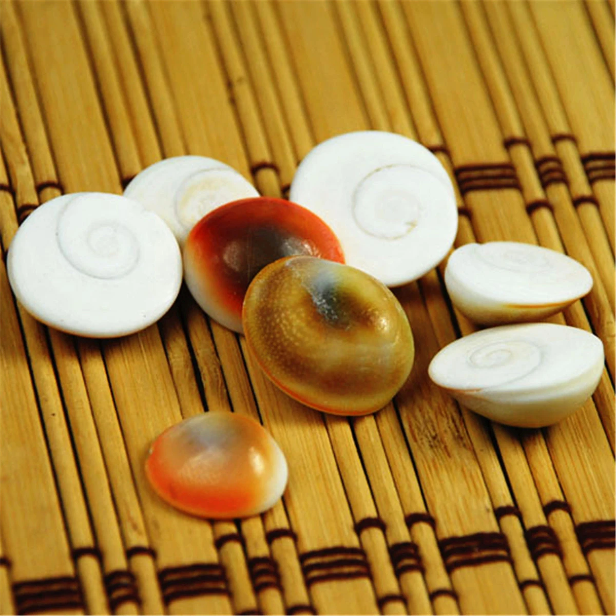 Natural Shiva Eye Shell | Natural Stone Crystals | Natural Eye Stone ...