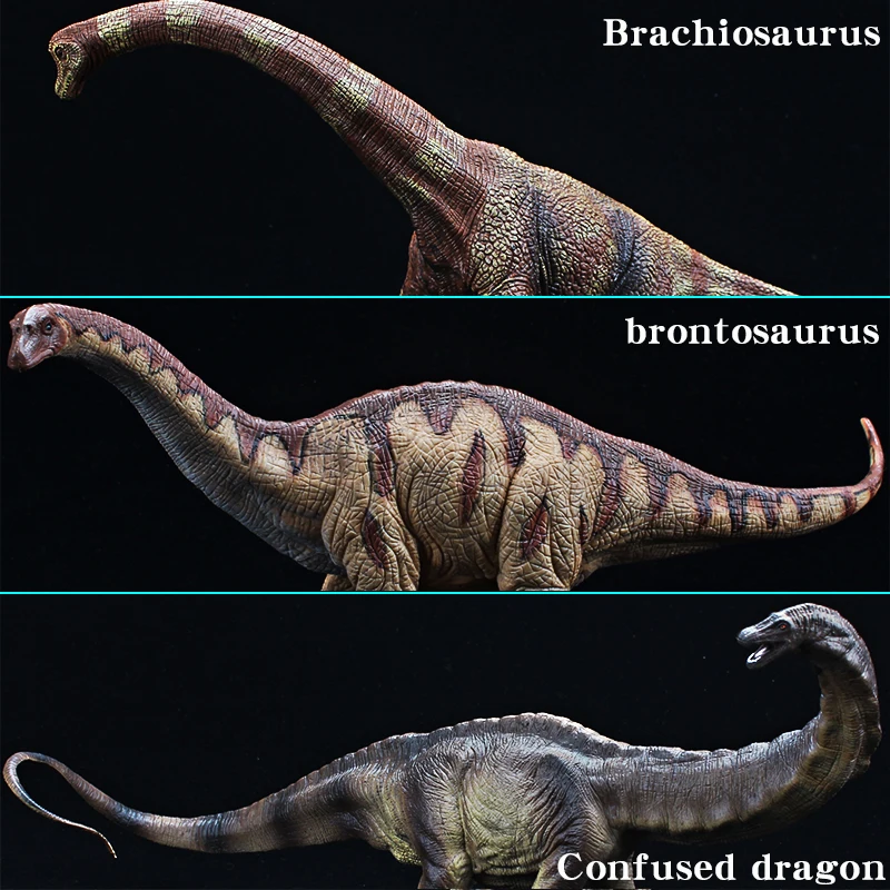 Brachiosaurus Vs Brontosaurus