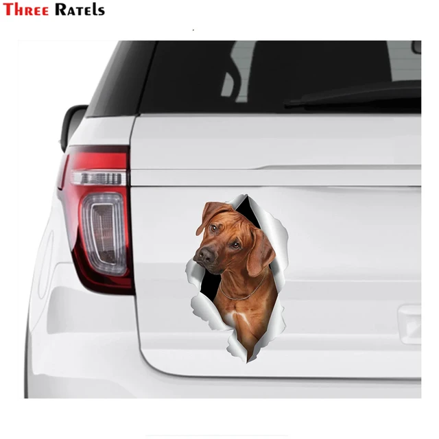 Three Ratels I599 Funny Rhodesian Ridgeback Dog Car Sticker For Ford ...