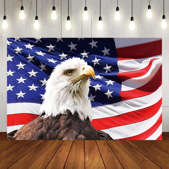 American Eagle Banner
