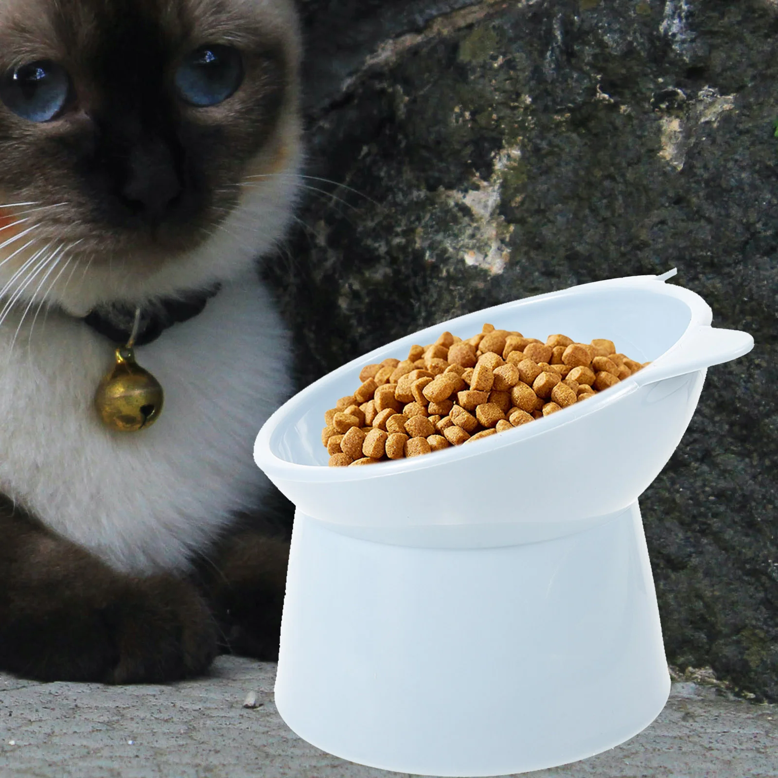 Siam Cat Food Dishes