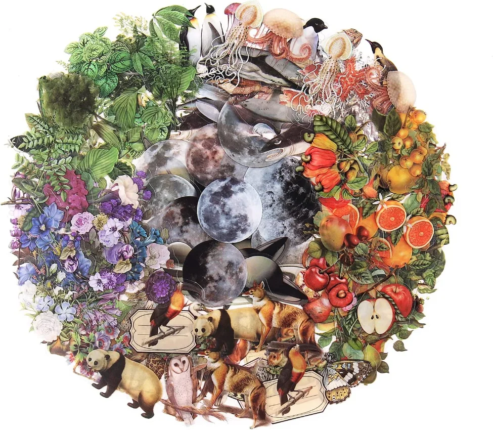 Nature Themed Transparent Stickers For Scrapbooking Pack Of 240 Flora ...