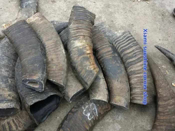 Natural Black Buffalo Horn Hollow material Thick cow horn comb material ...