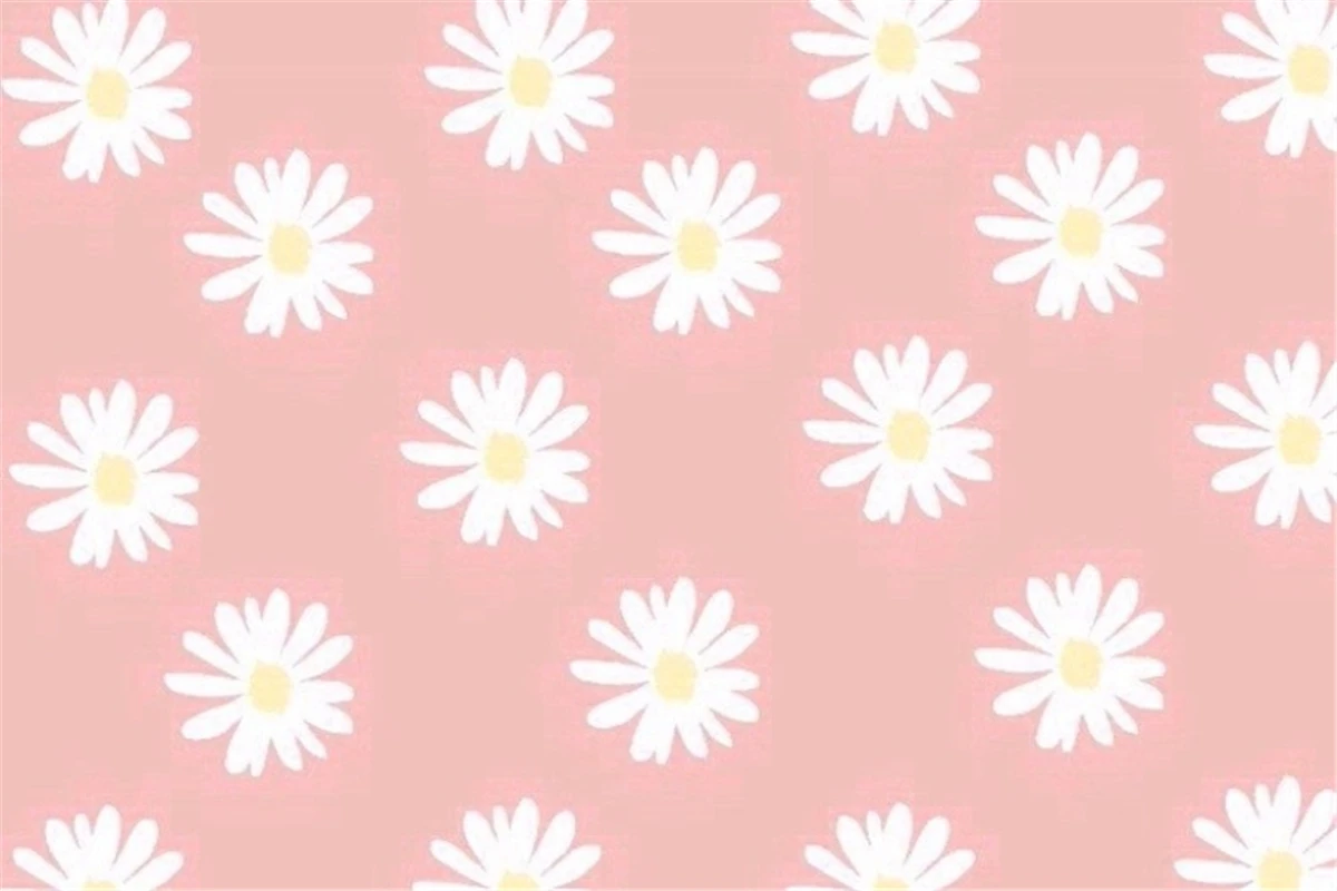 Pink Daisy Background Tumblr