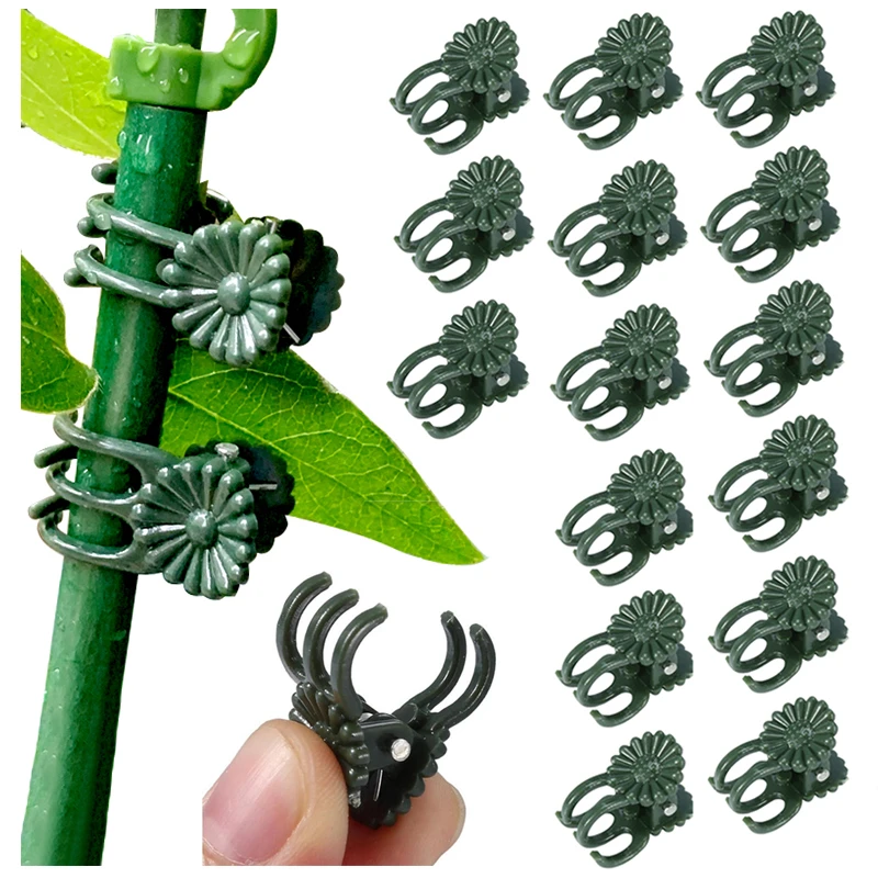 Orchid Stem Clip Plant Support Dark Green Plant Clips Vine Stem Flower ...