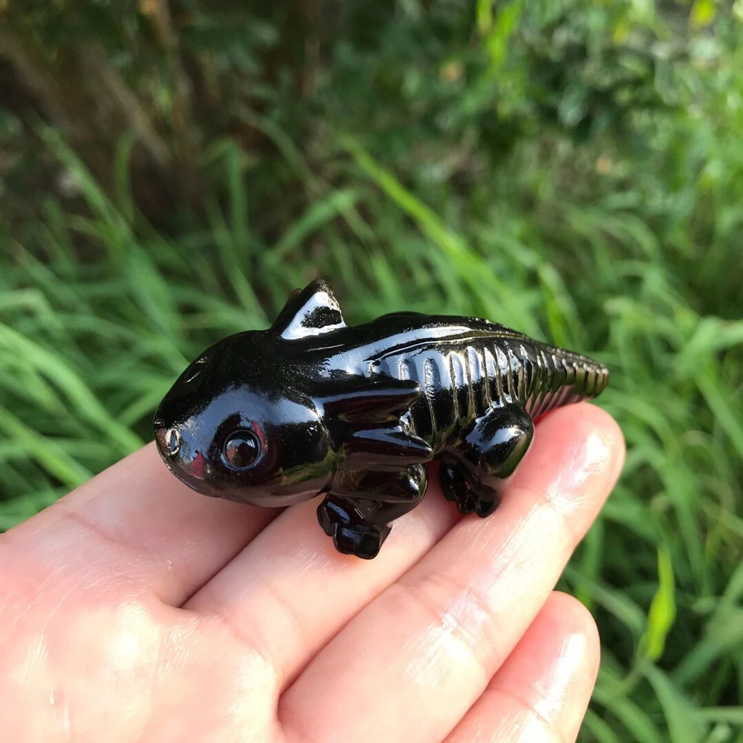 Baby Dinosaur Salamander