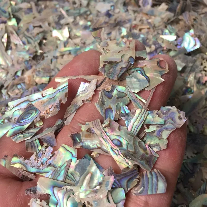 1lot-50g-Abalone-Shell-Scrap-Inlay-DIY-Craft-Decoration-Accessories ...