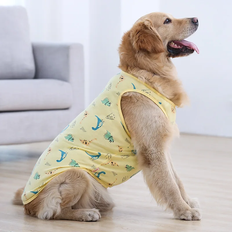 Dog Clothes Hair