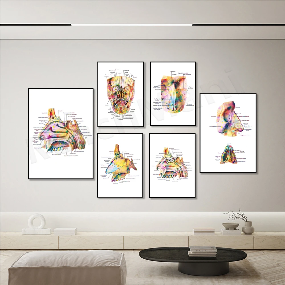 Nose-anatomy-art-poster-medical-diagram-nose-anatomy-art-medical ...