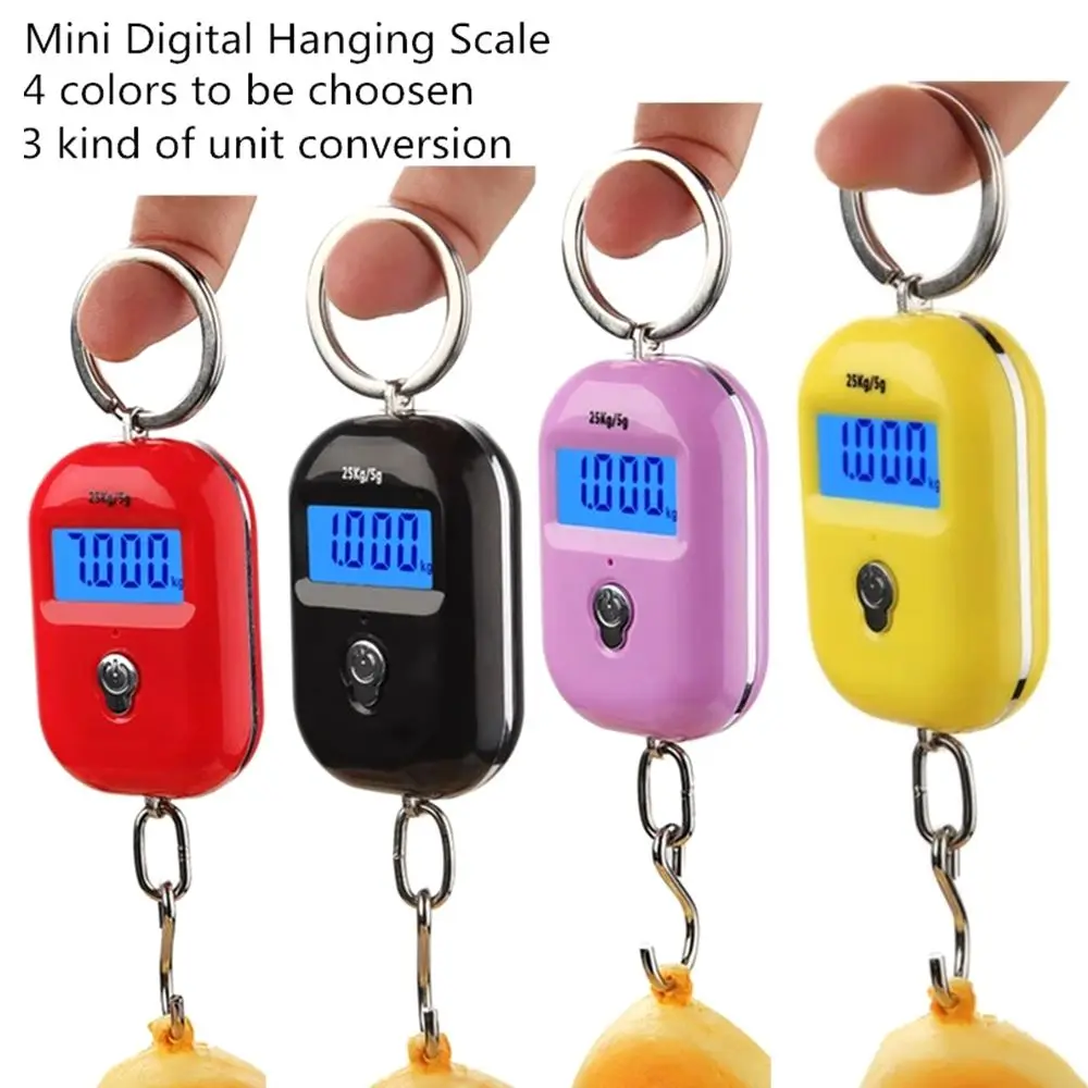 Balance numérique suspendue à Mini crochet 25kg-5g,outil de pesage ...