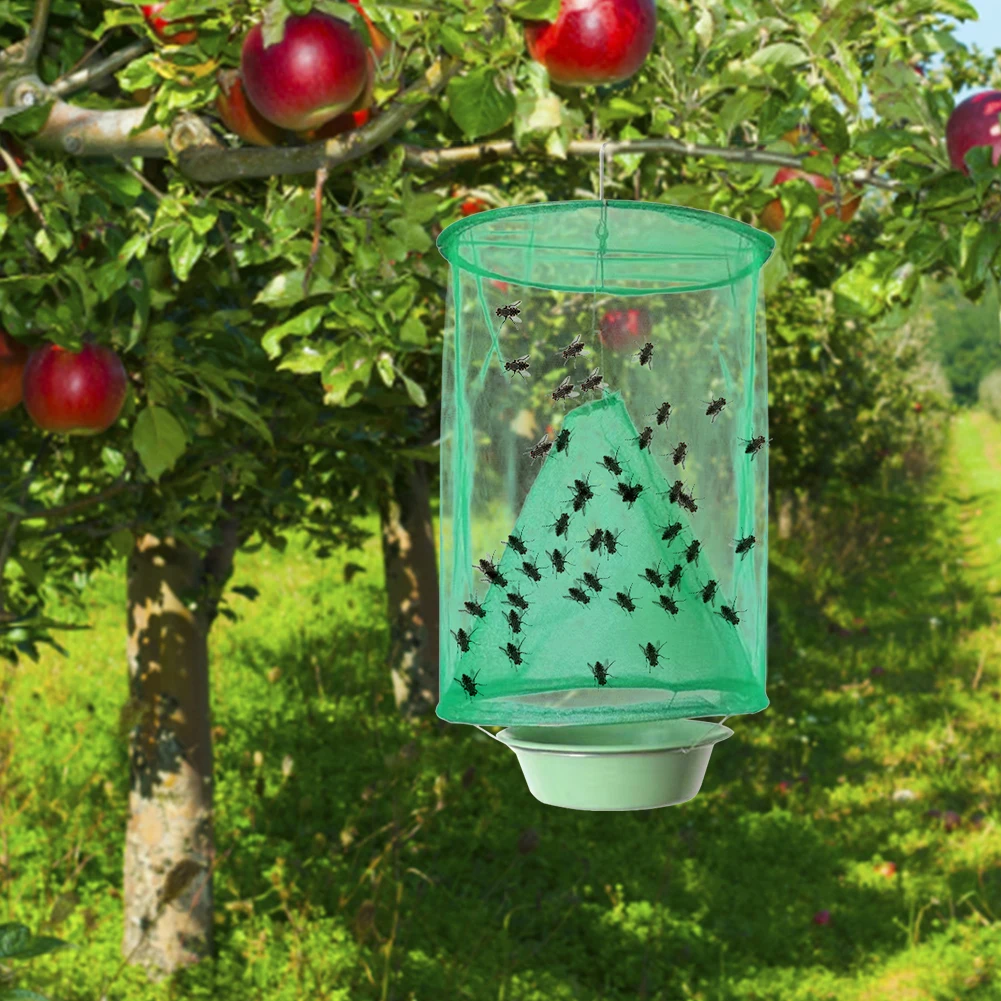 Reusable Hanging Fly Trap – For Kids And Teens