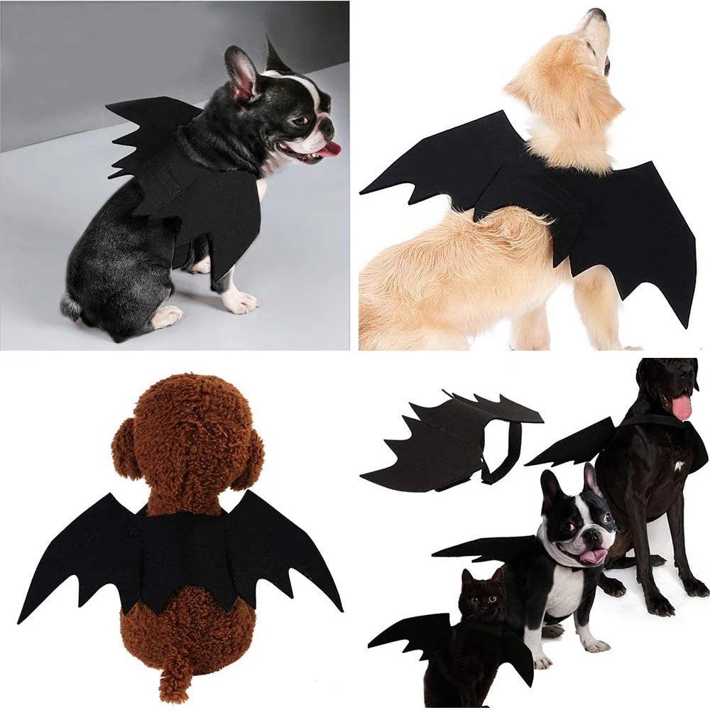 Bat Wings For Dogs
