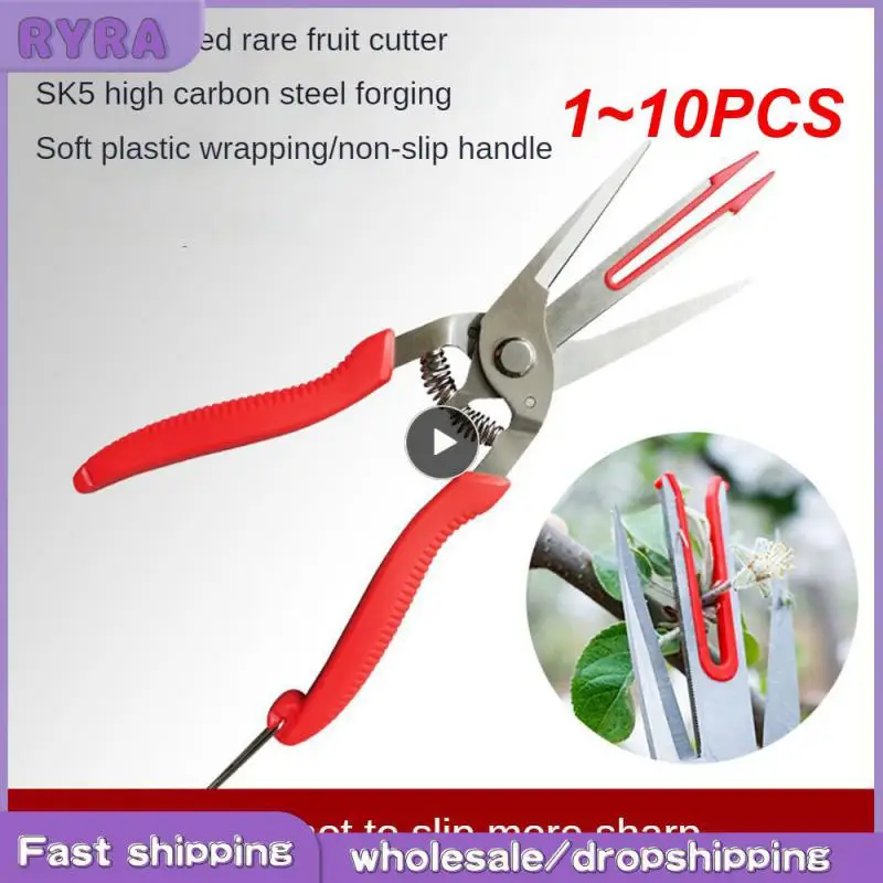 1-10PCS-Fruit-Picking-Scissors-Garden-Tools-Double-edged-Picking ...