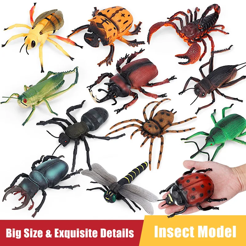 Simulation-Insect-Animals-Ladybug-Ants-Spider-Honeybees-Dragonfly ...