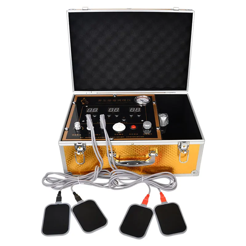 DDS Bio Elektrische Body Control Therapie Massager Iontophorese ...