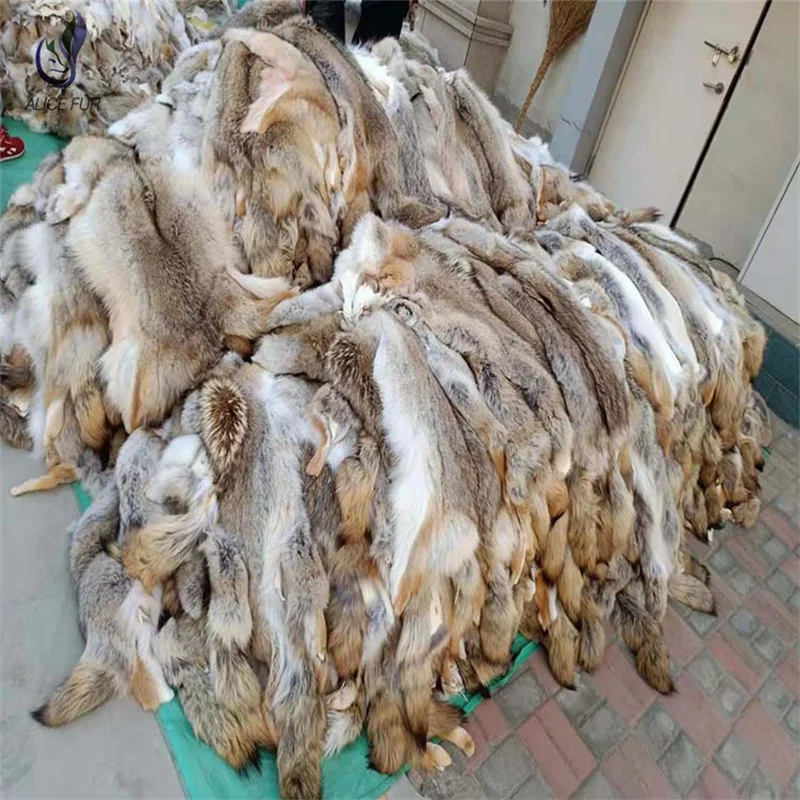 Eco-Tanned-100-Authentic-Coyote-Fur-Pelt-Real-Genuine-Coyote-Fur-Pelt ...