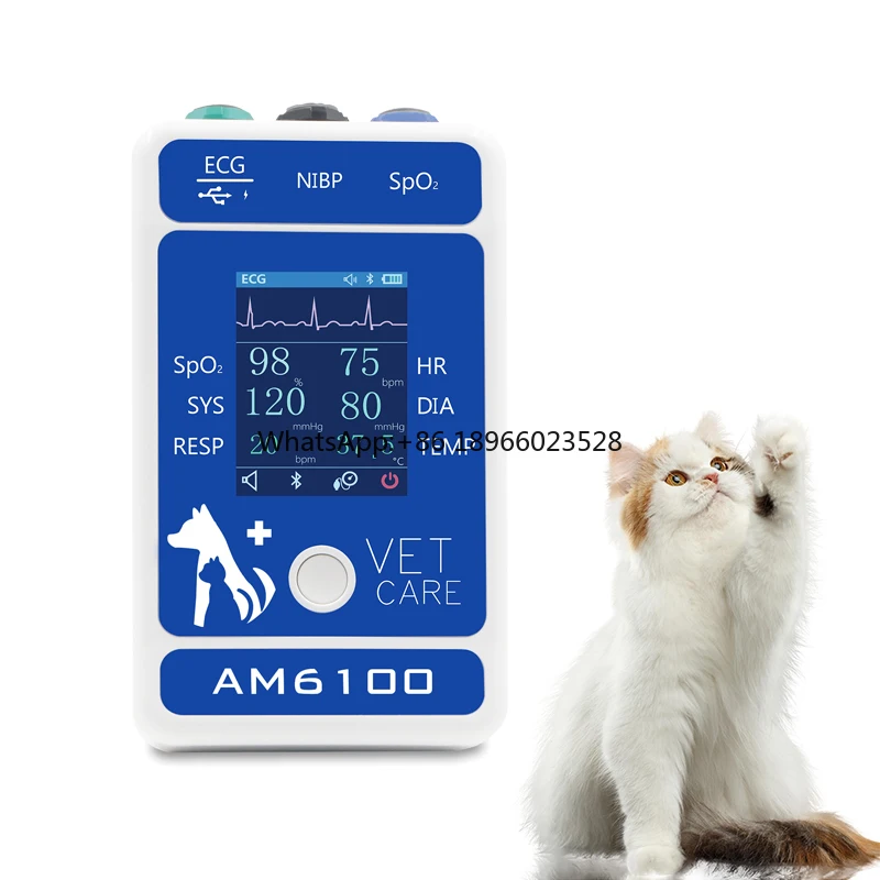 Blood-pressure-meter-dogs-cats-Multiparameter-monitor-Veterinary ...