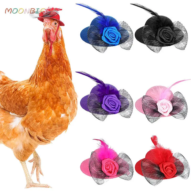 Sombrero-de-pollo-para-gallinas-y-mascotas-peque-as-accesorios ...