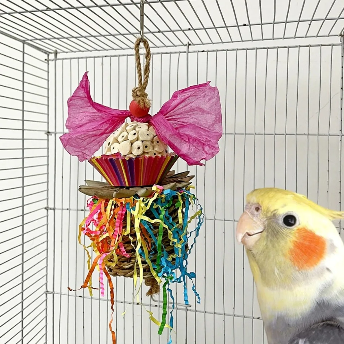 Natural Sola Balls Bird Chew Toy For Parrotlet Budgie Cockatiel Forage ...