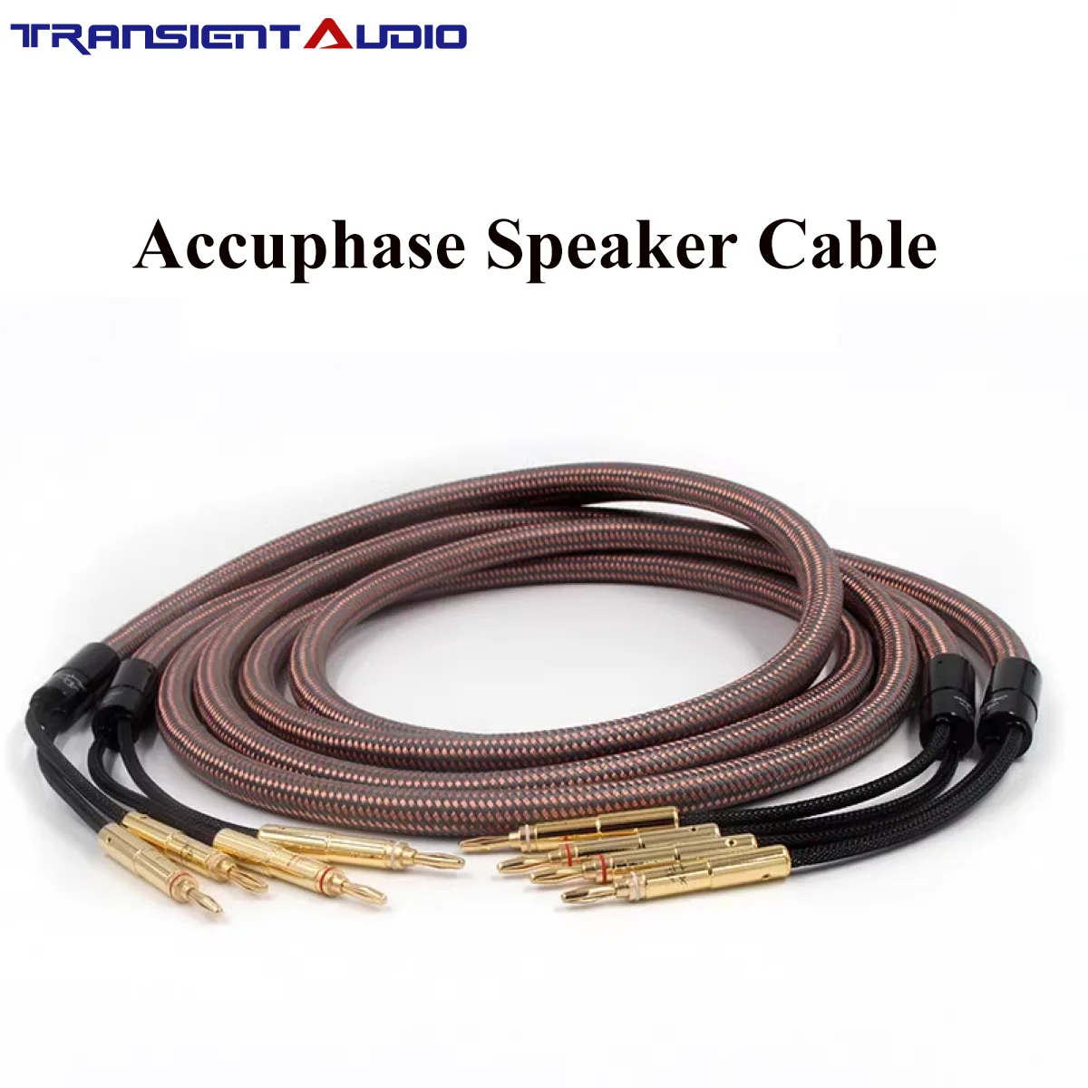 TRANSIENTHI-FIAUDIO-Japanese-Accuphase-40th-Anniversary-High-End ...