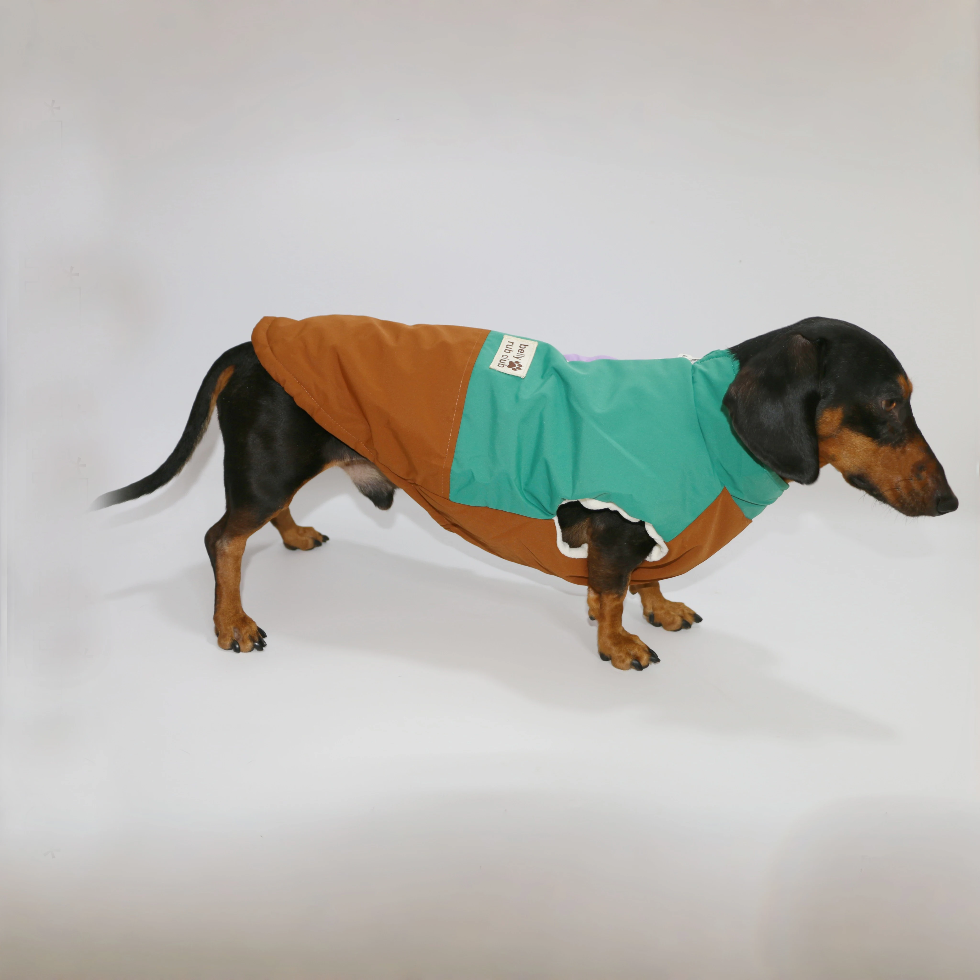 Winter Thick Fleece Windproof Jacket for Wiener Dogs Warm Zipper Coat ...