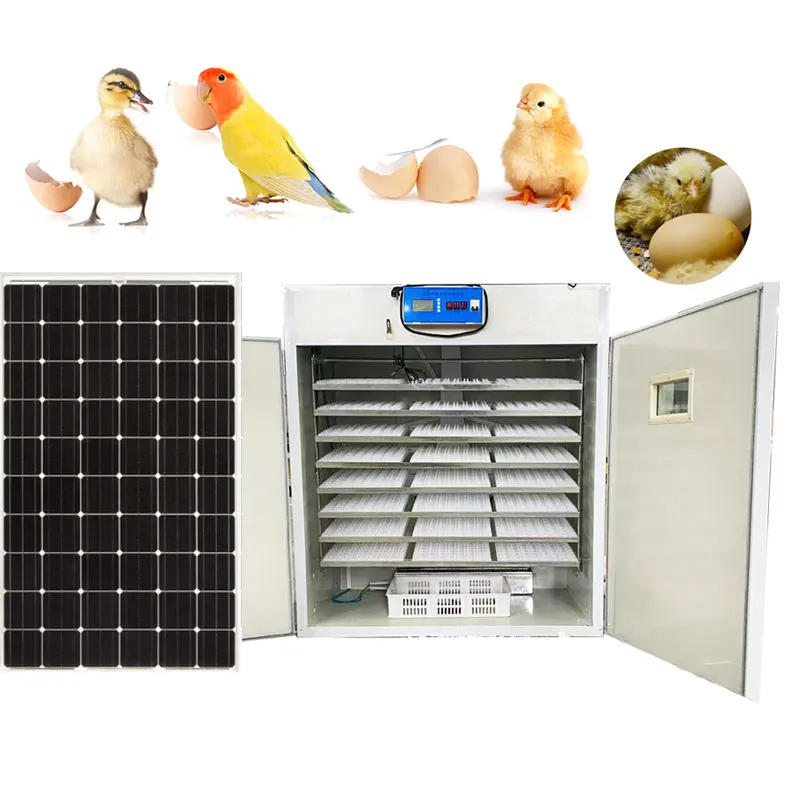 1056-Incubator-Incubators-Hatching-Eggs-Solar-Powered-With-Incubator ...