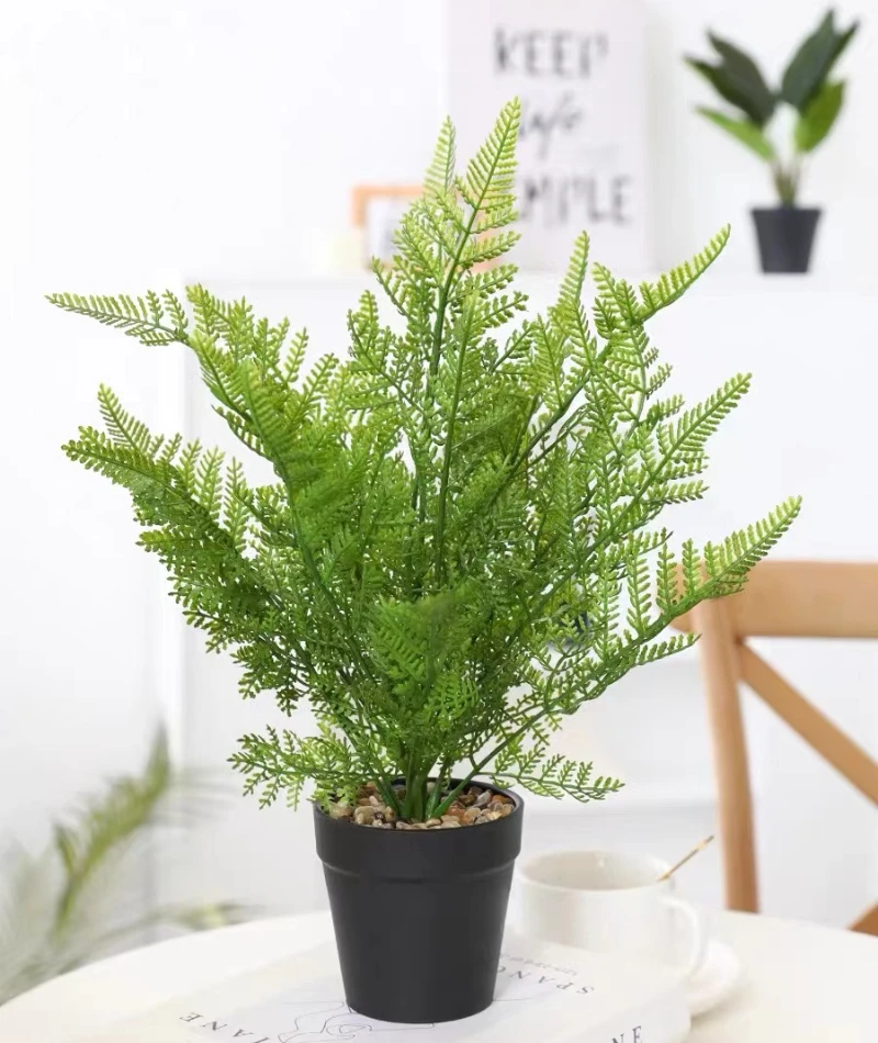 Type 2 Ajouter une carte TF 32G-Mini caméra HD 1080P pour plante ...