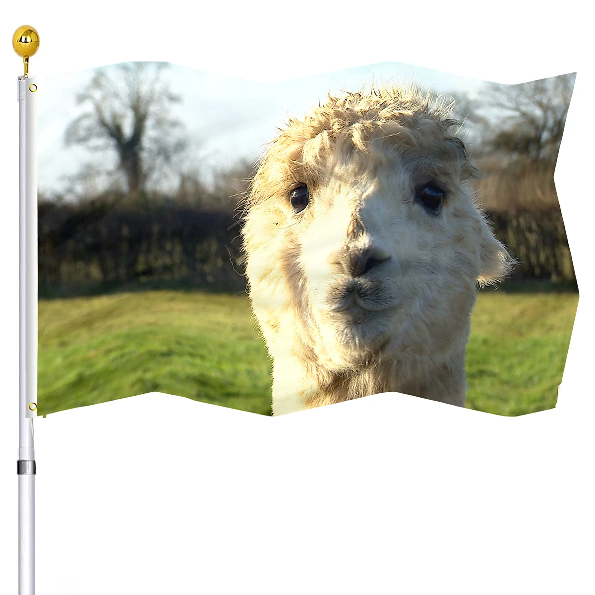 Alpaca Flag