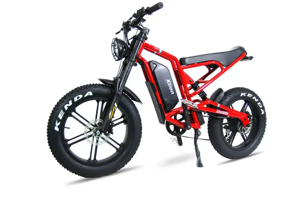 2024-CE-20innch-Electric-Bicycle-Electrically-Assisted-Bicycle-Off-road ...