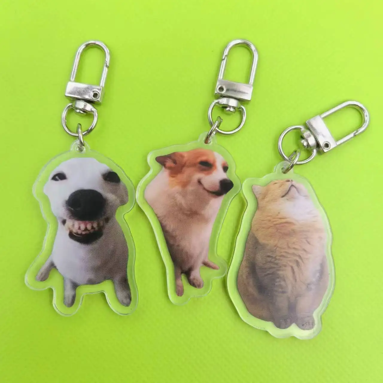 Silly-Cat-Key-Chain-Kitten-Sleeping-Meme-Dog-Laughing-Meme-Screen ...