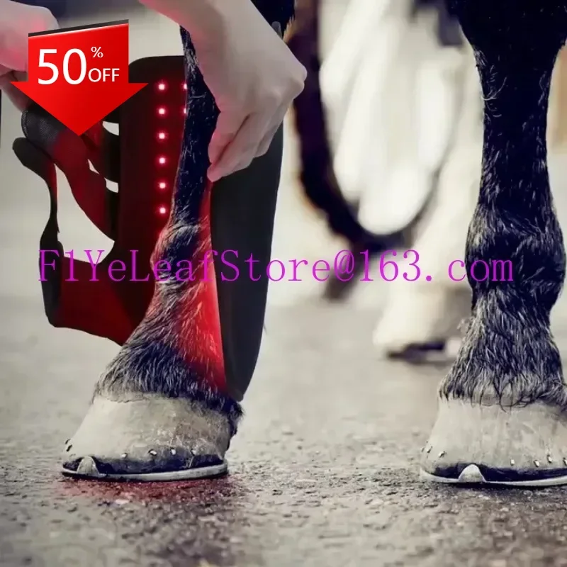 Led light therapy Horseware Equine Boot for Horse Injuries Full Red ...