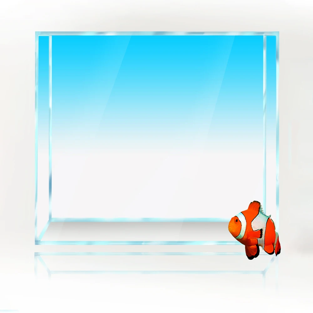 Square Fish Tank Cartoon