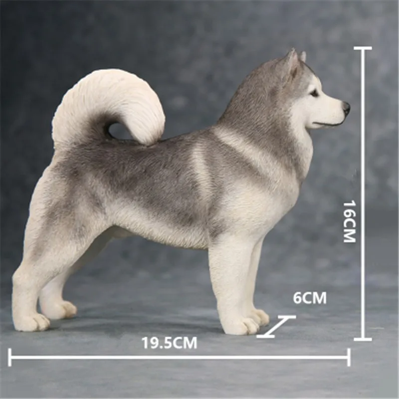 What Kind Of Animal Is A Alaskan Malamute