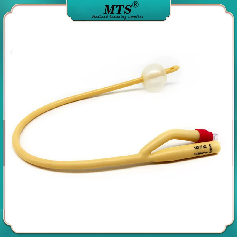 10pcs-Latex-Foley-Catheter-2-Way-Silicone-Coated-Plastic-Valve-Urology ...