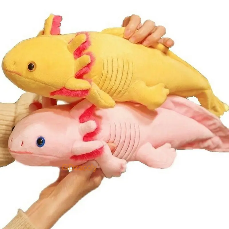Baby Dinosaur Salamander