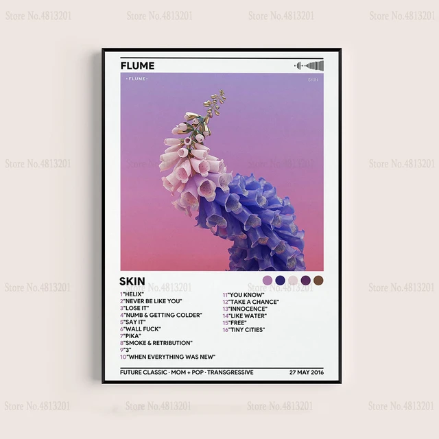 Flume Album Cover Girl