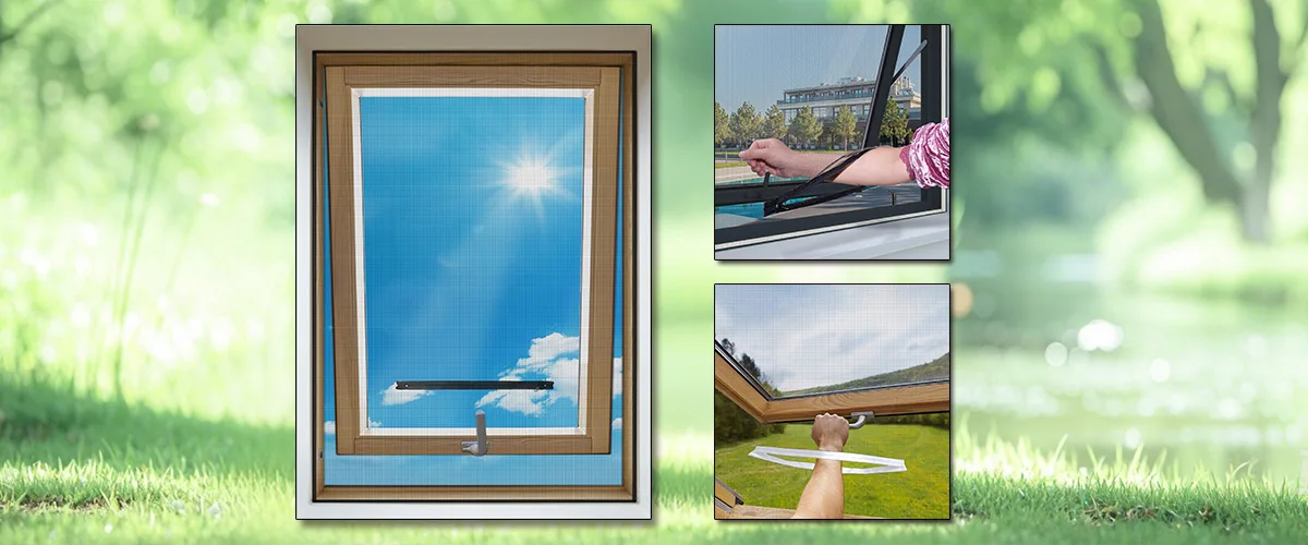 DTGJ Official Store - Amazing products with exclusive discounts on ...