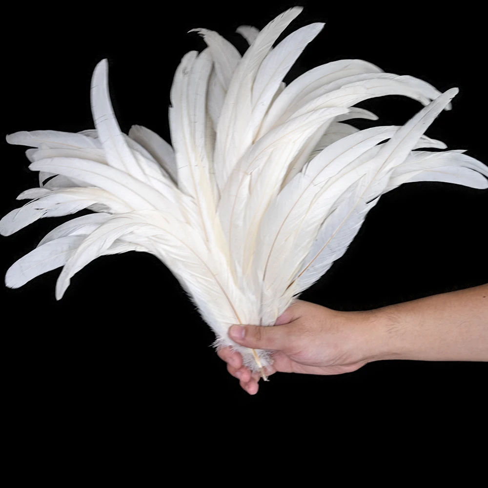 Wholesale 50pcs Natural Cock Tail Feathers 25-45cm / 10-18inch Clothing ...