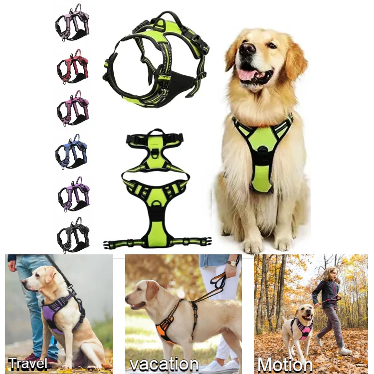 Pet Clothing Store - Amazing products with exclusive discounts on ...