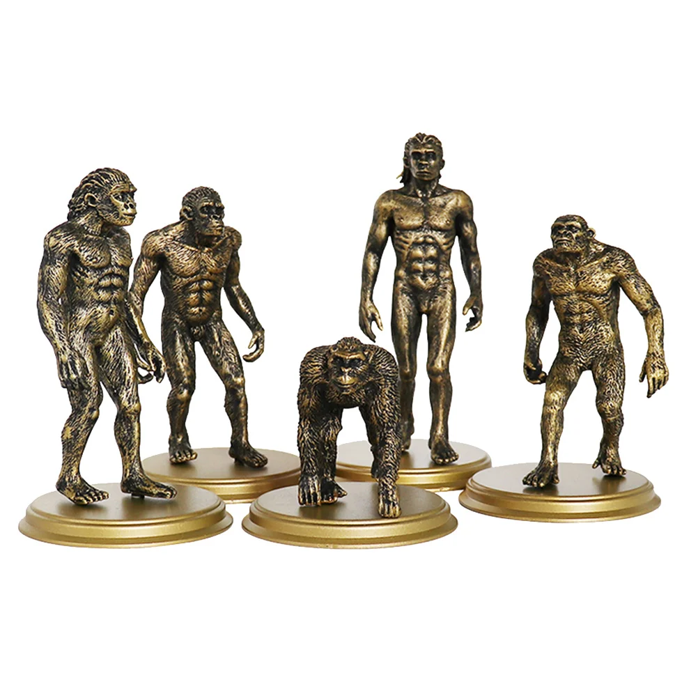5-Pcs-Human-Plastic-Model-History-Evolution-Models-Toy-Primitive-People ...