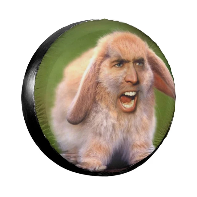 Nicolas Cage Rabbit