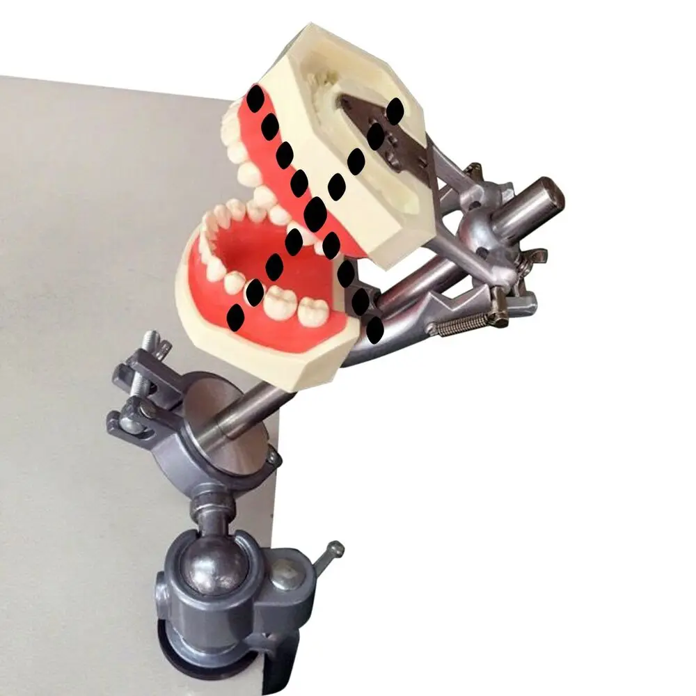 Dental-Typodont-Mounting-Pole-Fit-Kilgore-Nissin-Columbia-Dentoform ...