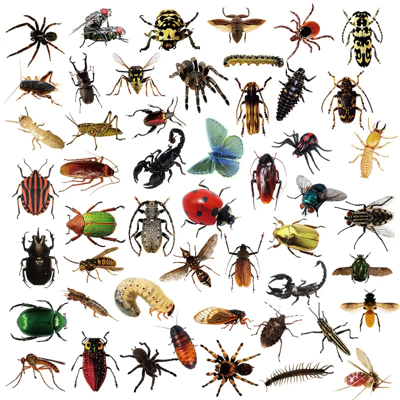 50Pcs-Realistic-Bug-Stickers-for-Laptop-Waterproof-Nature-Insect ...