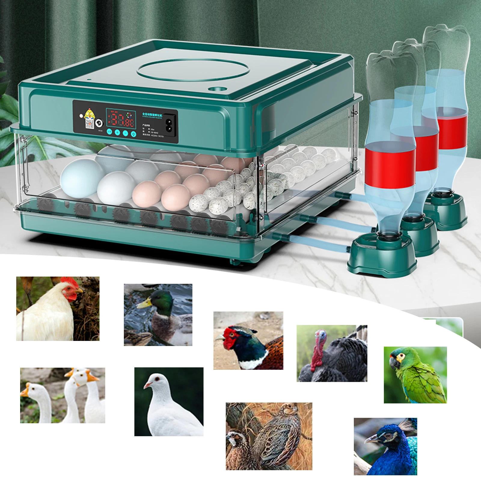 Eggs-Incubator-Fully-Automatic-for-Chicken-Goose-Quail-Auto-Turner ...
