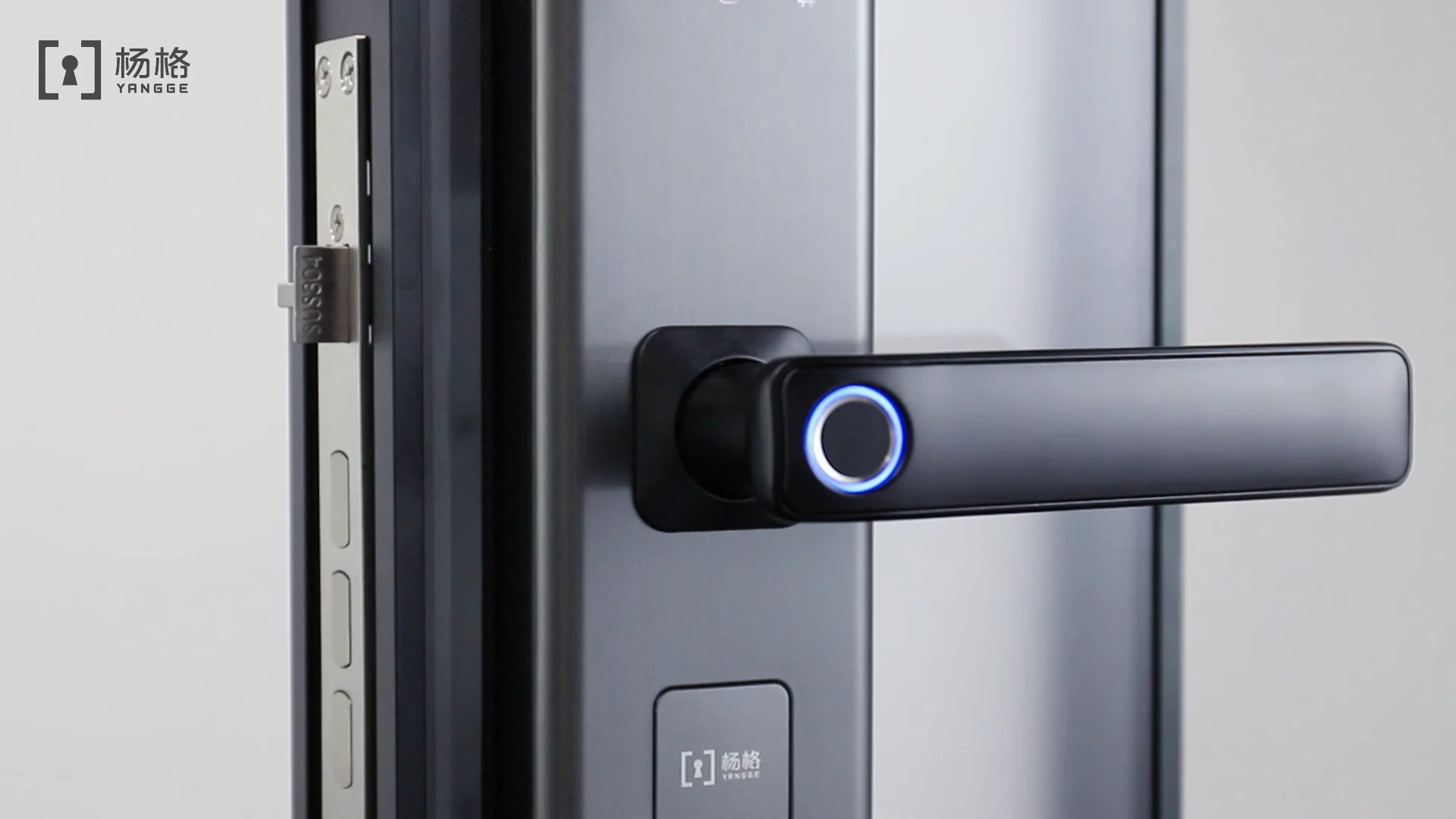 Body-Smart-Lock-Guangzhou-Anti-Theft-Touch-Id-Smartkey-2020-Tuya-Door ...