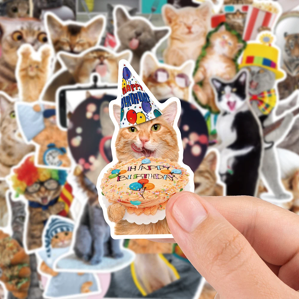 Funny Happy Birthday Cat Memes