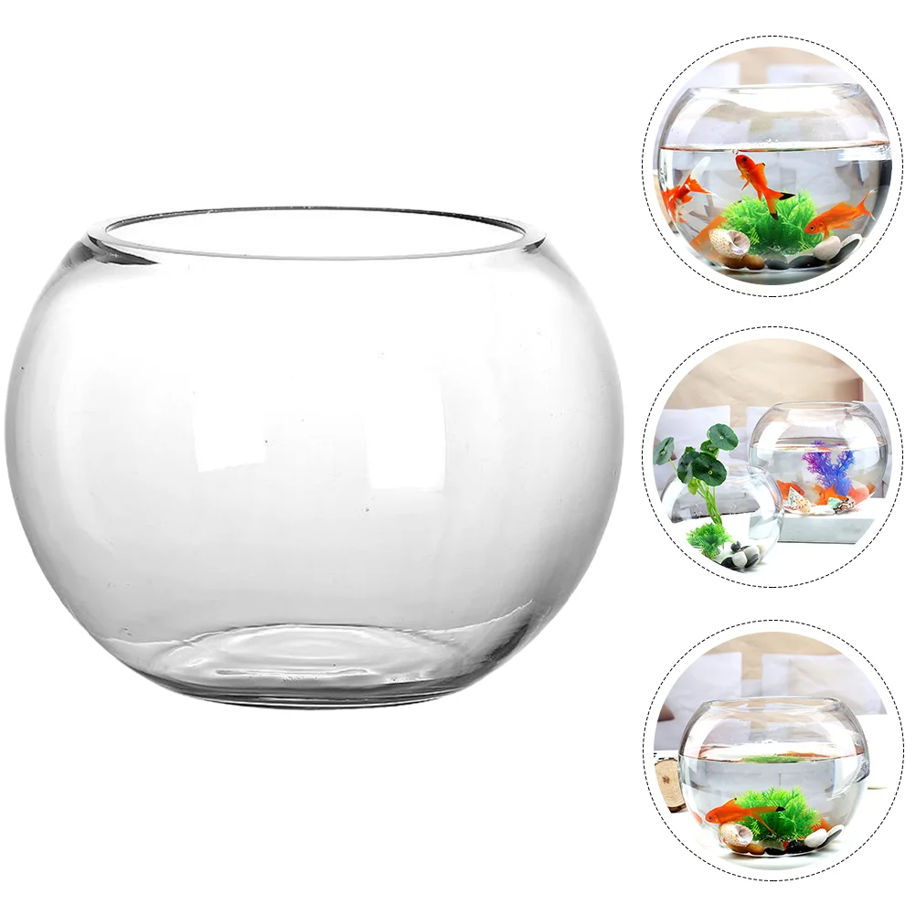 Glass-Fish-Bowl-Desktop-Terrarium-Small-Ball-Goldfish-Tank-Air-Plant ...