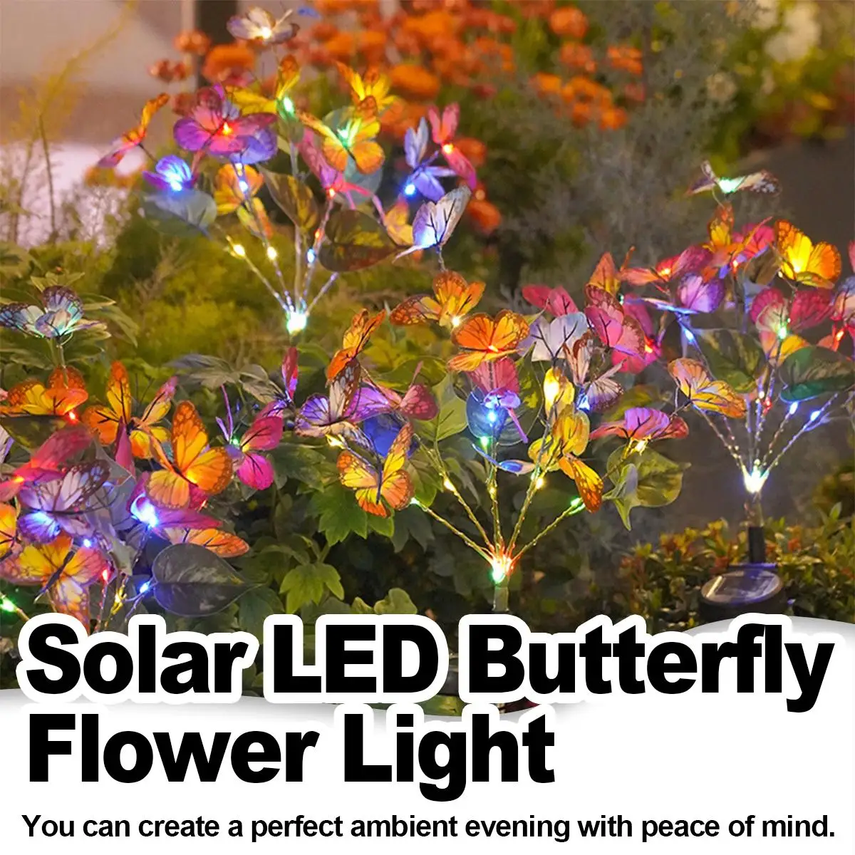 S70800e8d51524bee9ced90cb1959a38bv.jpeg